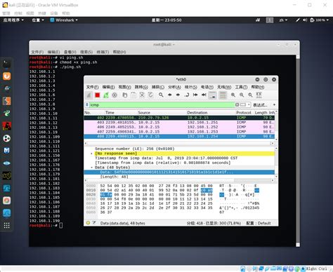 kali linux bash命令 kali中bash csdn博客