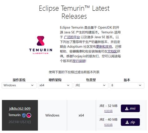站长手记 信息化基础运维 安装megaraid存储管理器17 05 06版的一番折腾（windows篇）