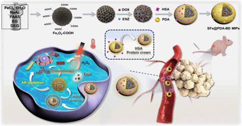 Stimuli Responsive Biomimetic Nanoplatform With In Situ Generated