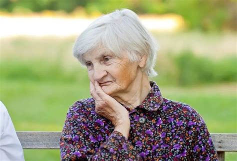 Tooth Bone Tissue Structure And Properties Dentistry