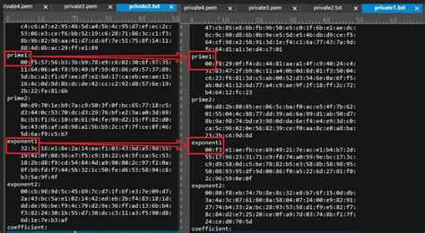 Openssl 1024bit Rsa算法 公私钥获取和处理（一）openssl Rsa Csdn博客