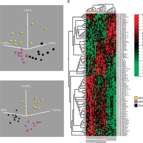 a principal component analysis pca plot including all variables