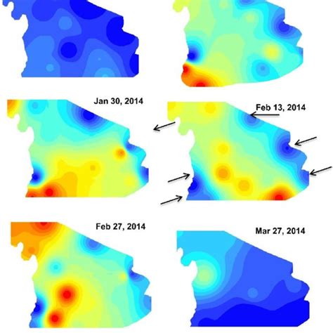 Dissolved Oxygen Maps Generated Using Inverse Distance Weighted Download Scientific Diagram