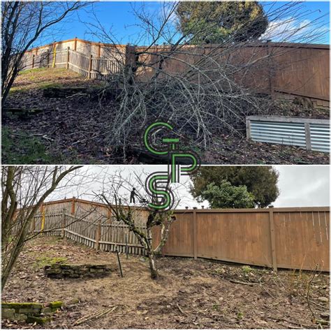Restoring An Apple Tree That Was Knocked Over In A Storm Thoughts R