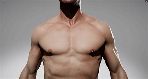 3d Reference Models For Artists Anatomy 360 3d Models
