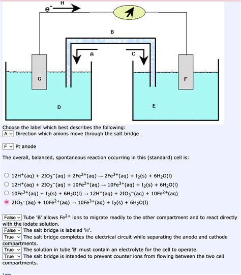 Solved Please Help I Dont Know Whats Wrong