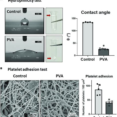 Hydrophilicity And Platelet Adhesion Tests A Hydrophilicity Test Download Scientific