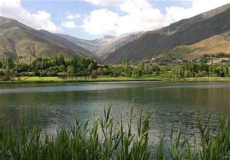 ابتکار نمی داند باتلاق گاوخونی کجاست به چیت چیان گفتم کاغذ تحویل