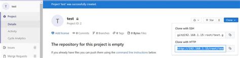 How To Install GitLab On Your Raspberry Pi RaspberryTips