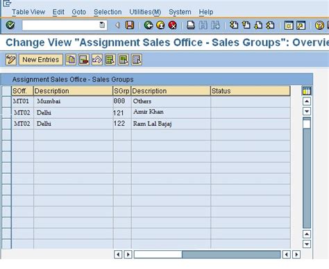 Assign Sales Group To Sales Office In Sap