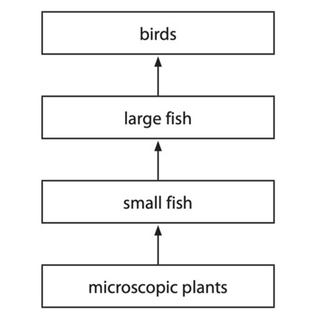 Biology Paper 1 Wrong Qs Flashcards Quizlet