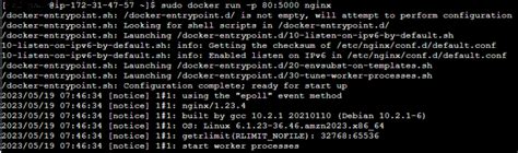 How To Install Docker On Ubuntu Petri