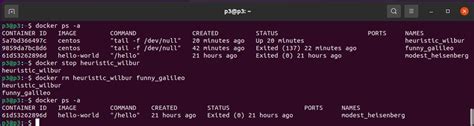 Basic Docker Commands Learn With Omar