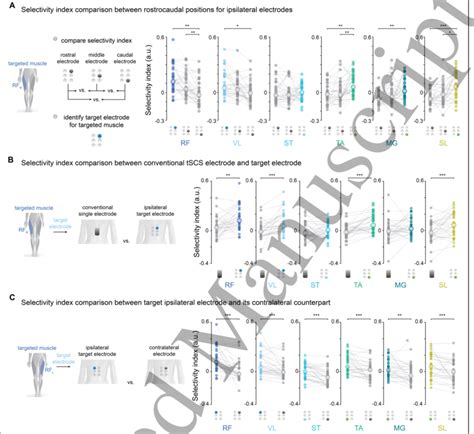 Selectivity Index Comparison Between Electrode Types And Positions A Download Scientific