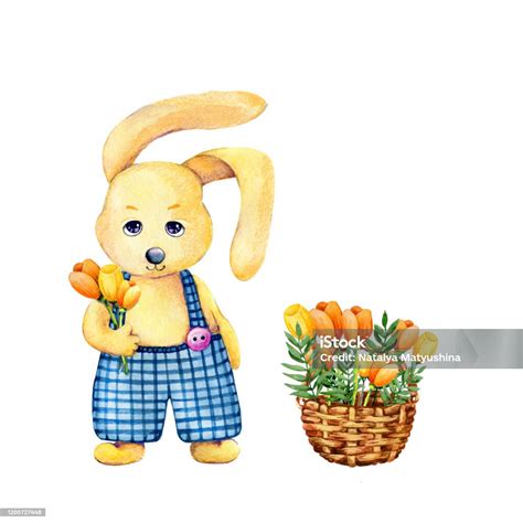 파란색 바지에 만화 토끼 소년은 그의 손 튤립과 꽃바구니에 들고있다 부활절과 어린이 제품의 디자인에 대한 흰색 배경에 고립 된 손 수채화 그림 0명에 대한 스톡 벡터 아트