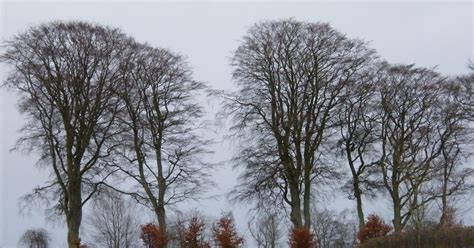 Abit Of This Abit Of That Naked Stuff