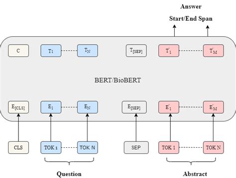 A BERT BioBERT Based QA Model Image Courtesy Download Scientific Diagram
