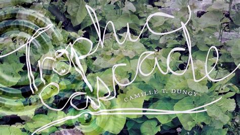 Trophic Cascade Definition Importance Examples