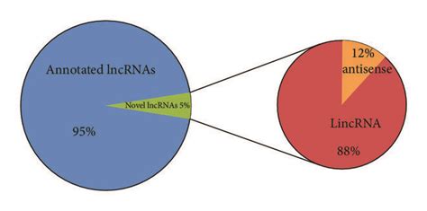 computational pipeline for the systematic filtration of cad lncrnas and