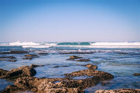 Exploring The Tide Pools Of The Sonoma Coast The Official Bodega Bay