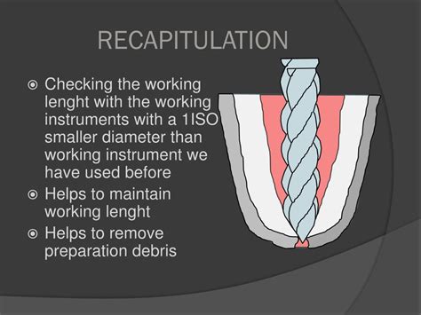 Ppt Techniques And Methods Of Preparation Of Root Canals Powerpoint