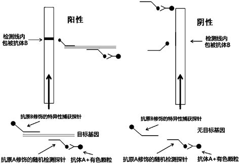 Method And Kit For Detecting Microorganisms Eureka Patsnap