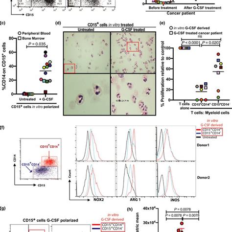 Cd15⁺cd14⁺ Cells Are Expanded Post‐recombinant G‐csf And Suppress