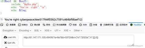 web easyphp easyphp题目 csdn博客