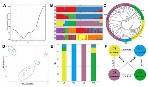 Genetic Structure Of Ginkgo Cultivars A Plot Of Δk Values For K From 1