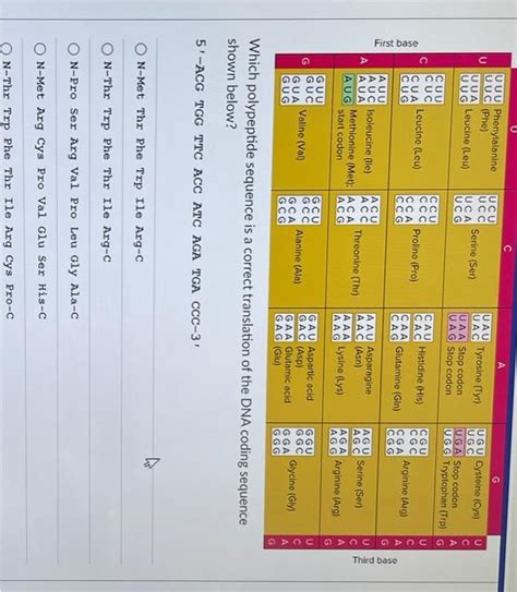 Solved Which Polypeptide Sequence Is A Correct Translation