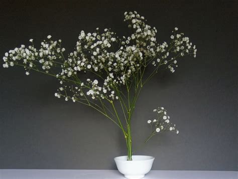 Kenzans — Floral Edit