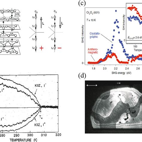 Linear And Nonlinear Optical Detection Of Antiferromagnetic
