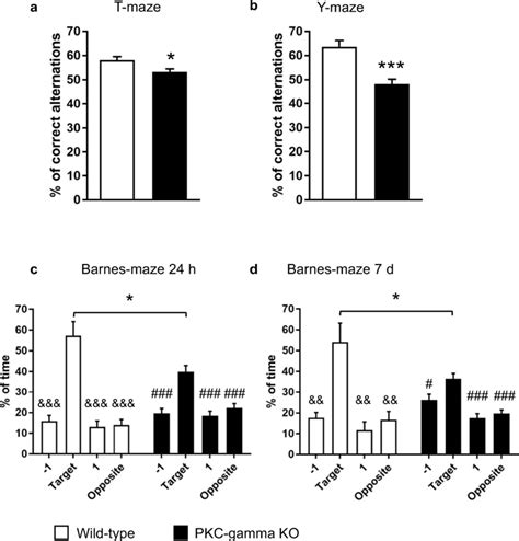 Spatial Memory Performance Was Evaluated In The Pkc Gamma Ko Mice