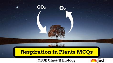 Respiration In Plants Class MCQs CBSE Biology Chapter Multiple Choice Questions