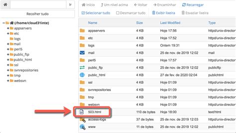 personalizando o erro 503 do java nodejs wiki integrator do brasil