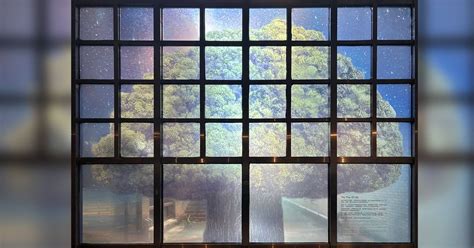 2025 Ncku Med《the Tree Of Life》webar Fan He 8th Wall