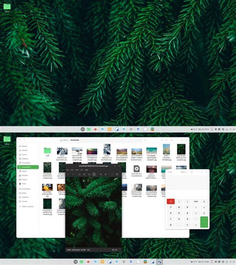 Linux Mint 21 Cinnamon Rdesktops