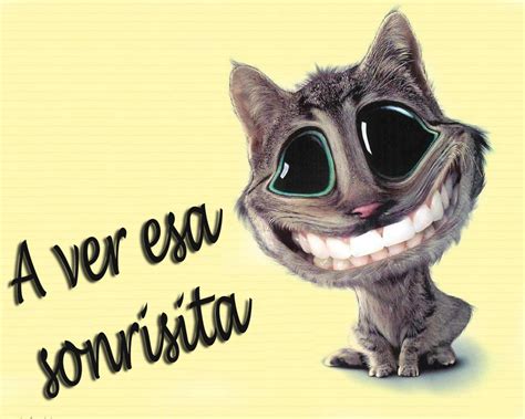 Divertidas Imagenes Imagui