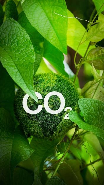 Premium Photo Grass Earth Globe With Co2 Text On Green Leaves In The
