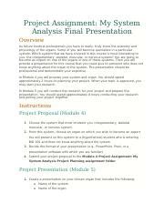 Module Project Instructions Docx Project Assignment My System Analysis Final Presentation