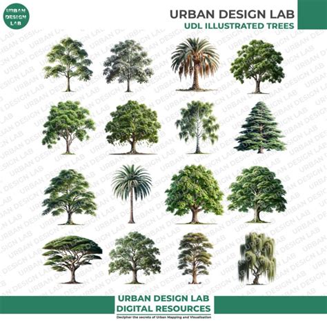 Realistic Trees For Architecture Drawing