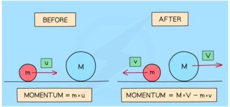 CIE IGCSE Physics 0625 Unit 1 Motion Forces And Energy Study Notes
