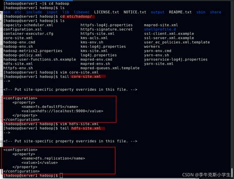 hadoop hadoops三大论文 csdn博客