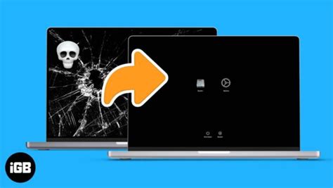 How To Transfer Data From Dead Mac To New Mac IGeeksBlog