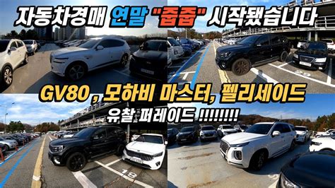 제네시스 Gv80 모하비 더 마스터 팰리세이드 중고차 경매 줍줍의 계절이 왔습니다 최저 가격에 구하신다면 지금이