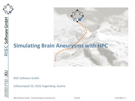 Pdf Simulating Brain Aneurysms With Hpc · Risc Software Gmbh