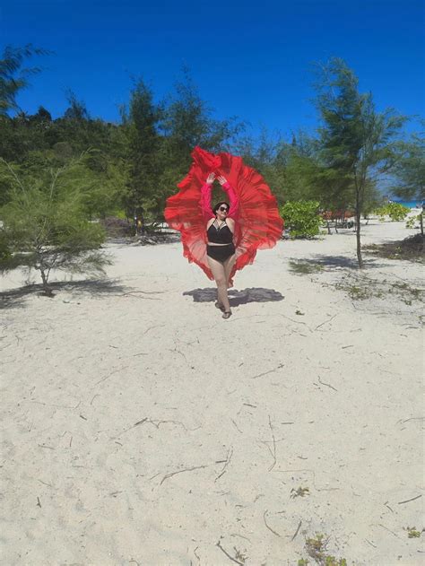 Plus Size One Piece Swimsuit Xl To 8xl Size Plus Size Swimwear