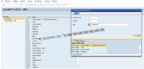 sap bp字段增强 付款条件检查 sap bus2 csdn博客