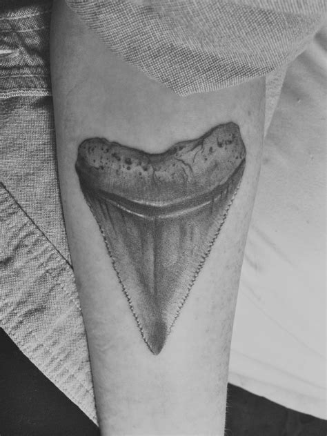 Shark Tooth Tattoo