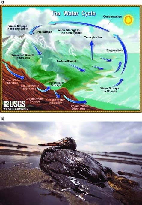 Examples Of Pictorial Representations A The U S Geological Survey